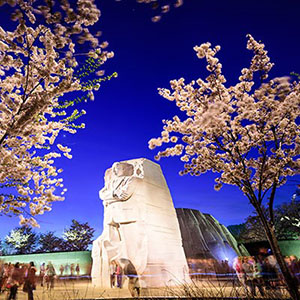 ORS - Office Of Research Services | NIH